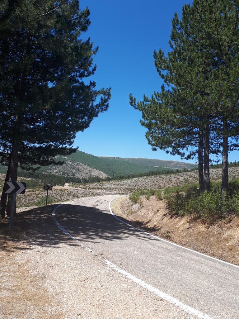 Reiji – Ho :Técnica para potenciar tu intuición - Sonrie a Reiki en Madrid